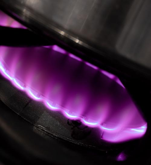 Indigo Flames? · DigitalNotions